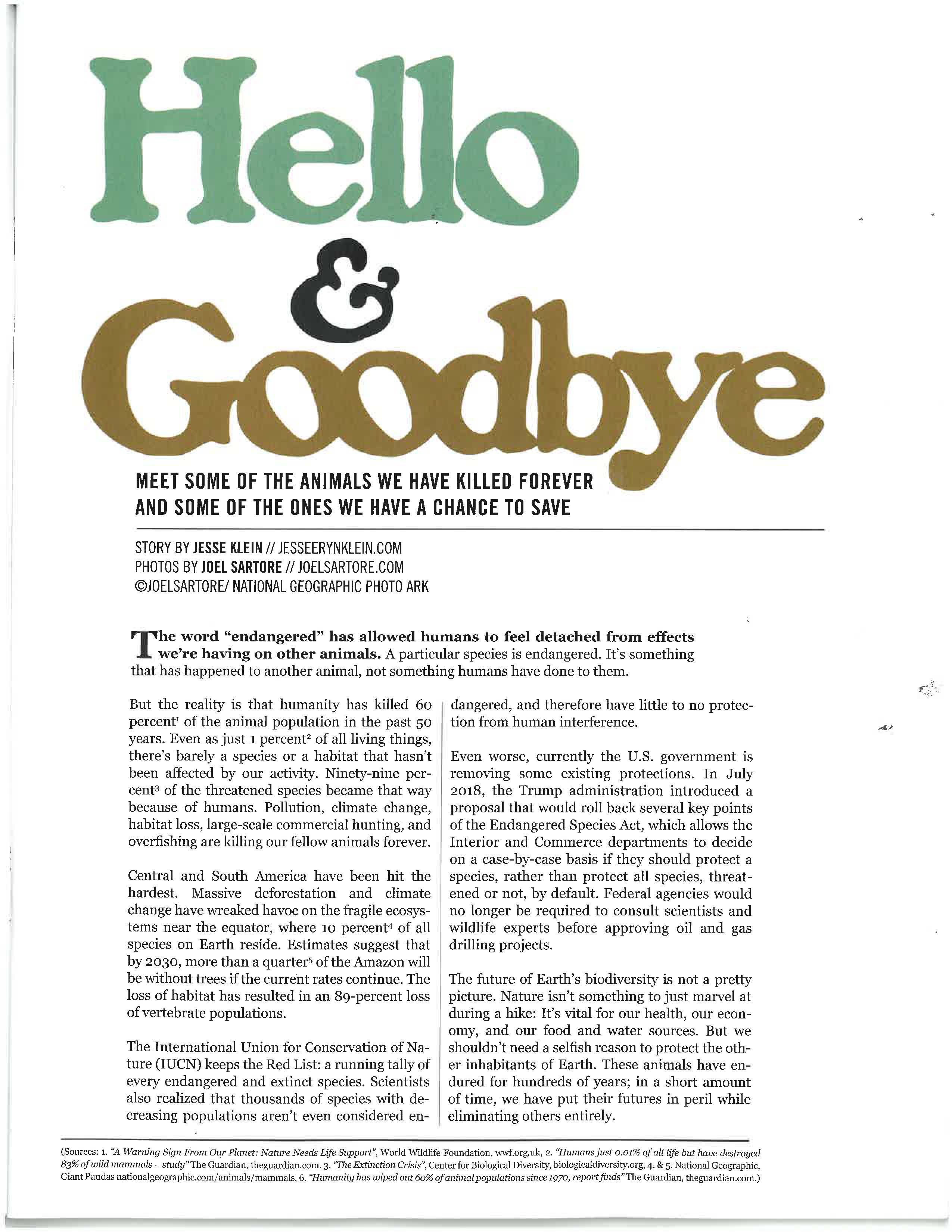 Hello & Goodbye | Jesse Klein